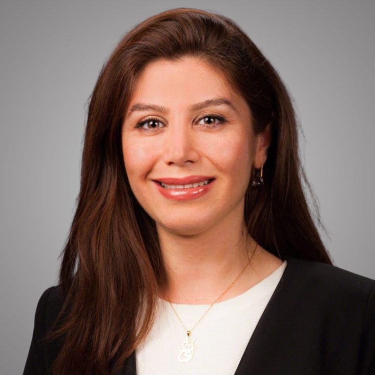 From field to design video series - Seequent