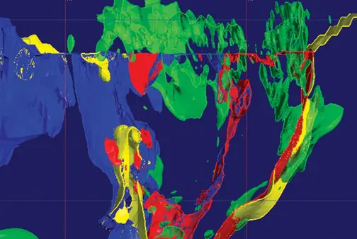 Rapid visualisation and modelling of geological data - Seequent